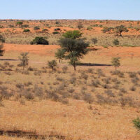 Mali - Nature Needs Half